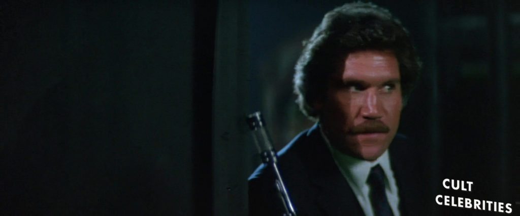 Looker (1981) – Cult Celebrities