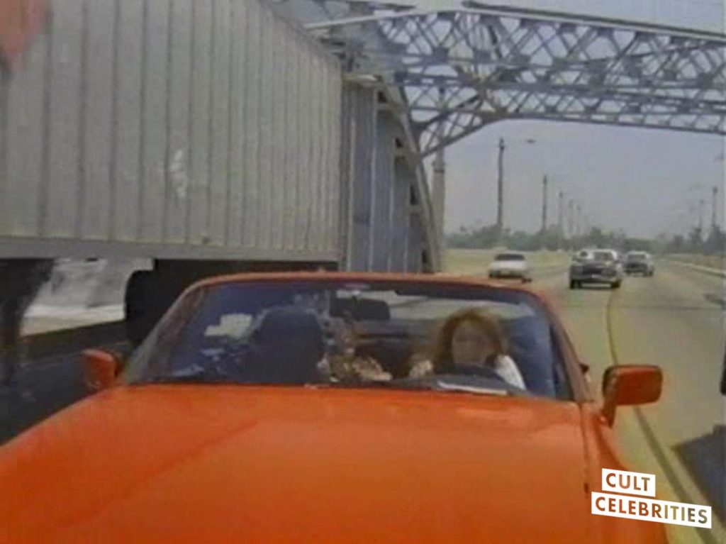 Beastmaster 2: Through the Portal of Time (1991) – Cult Celebrities