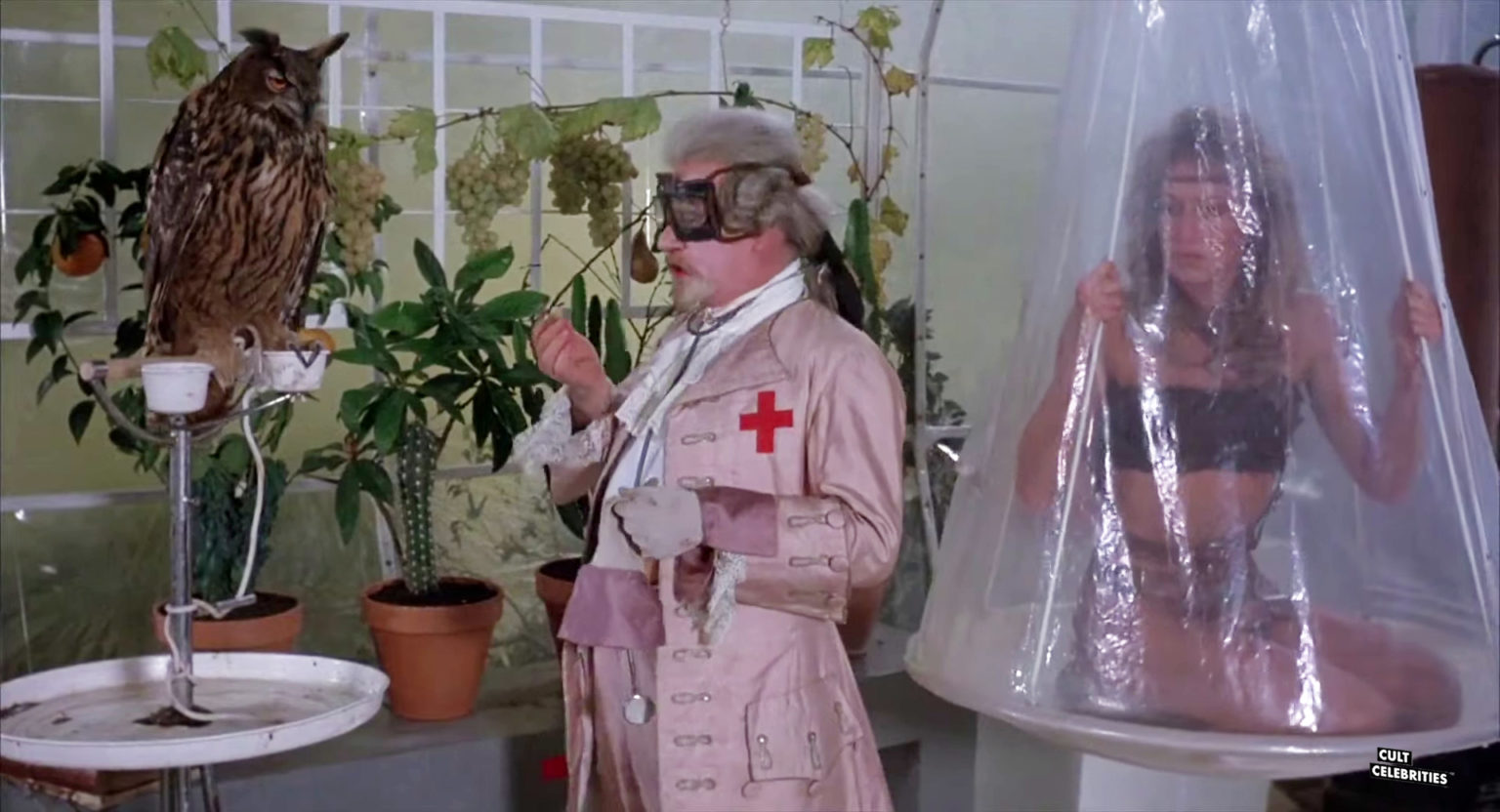 She (1984) – Cult Celebrities